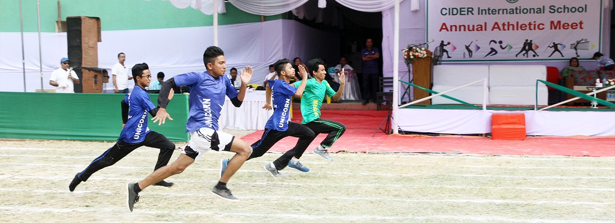 CIDER International School